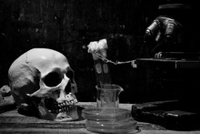 Human Skull Alchemy Free Stock Photo - Public Domain Pictures