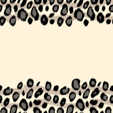 Leopard Print Border Free Stock Photo - Public Domain Pictures