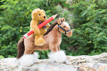 Cuddly Horse 4 Free Stock Photo - Public Domain Pictures