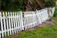 Mold On Wooden Fence Free Stock Photo - Public Domain Pictures