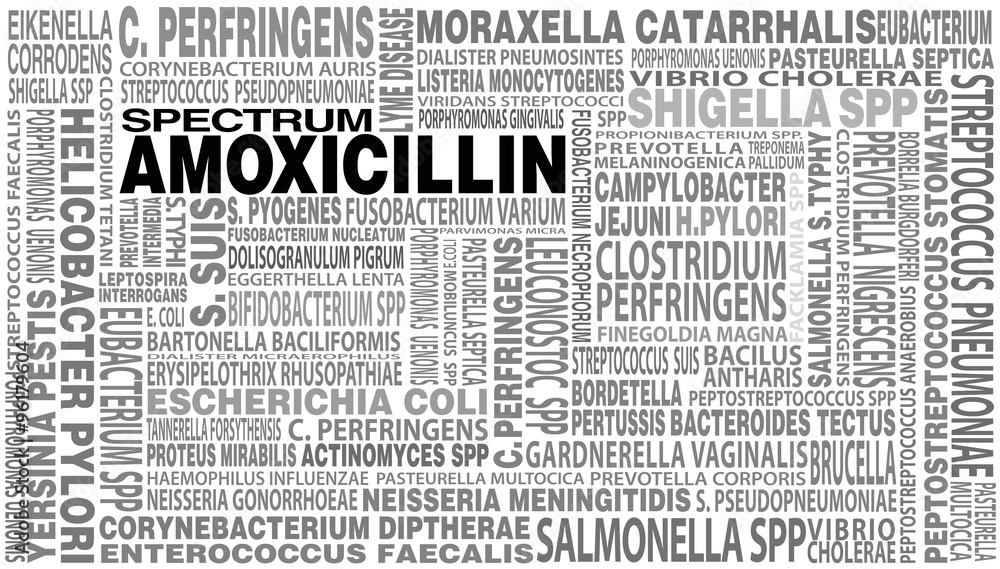 Cloud names of bacteria and microorganisms to amoxicillin big ...