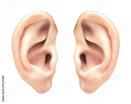 Ohren – Stock-Foto | Adobe Stock