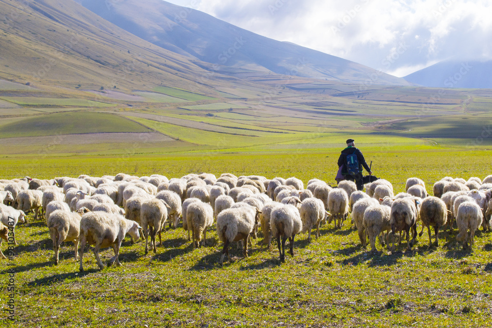 Foto Stok pastore con gregge di pecore sui monti Sibillini, Italia ...