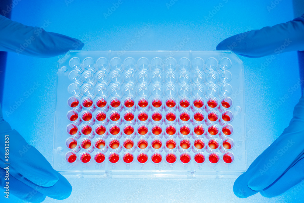 96 well plate for PCR processing, microbiological laboratory Stock ...
