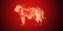 Fire Tiger Free Stock Photo - Public Domain Pictures