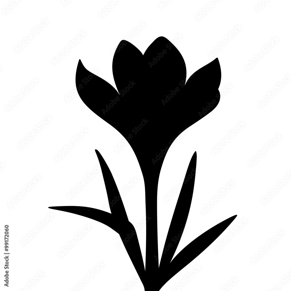 Vector black silhouette of a crocus flower isolated on a white ...