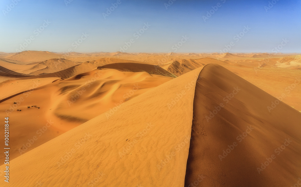 Sand dunes shaped by wind, Deadvlei, Sossusvlei, Namib Desert, Namib ...