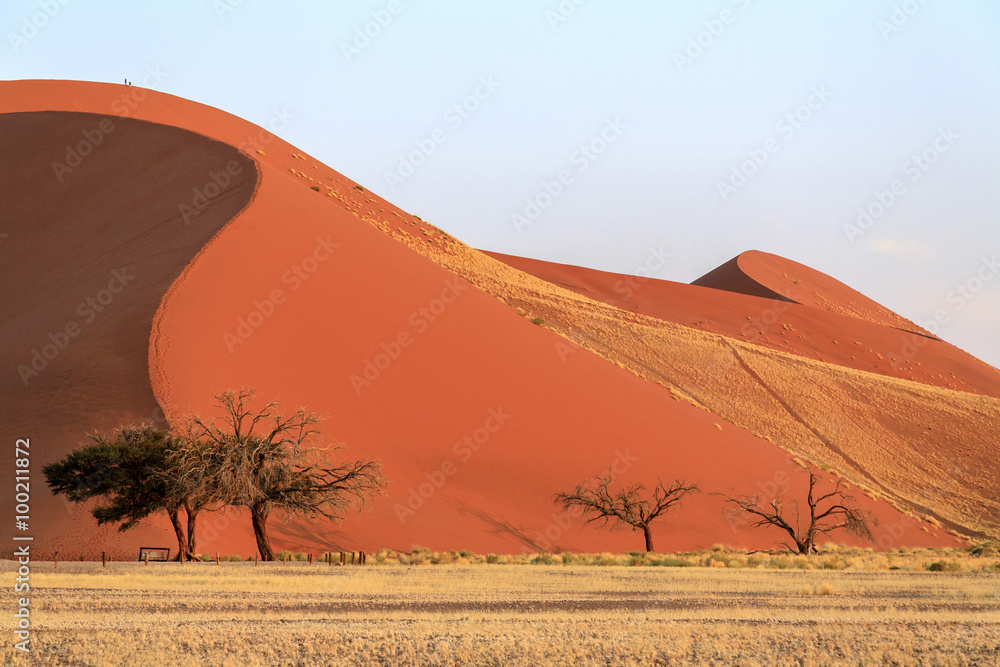 Dune 45 the star dune composed of 5 million year old sand, Sossusvlei ...