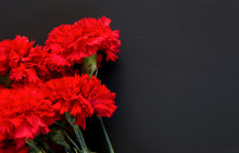 Single Red Carnation Free Stock Photo - Public Domain Pictures