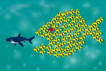 Big Fish Little Fish Metaphor Free Stock Photo - Public Domain Pictures