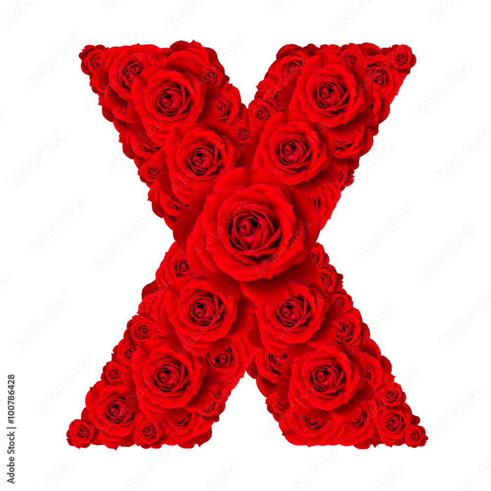 Rose alphabet set - Alphabet capital letter X made from red rose Stock ...