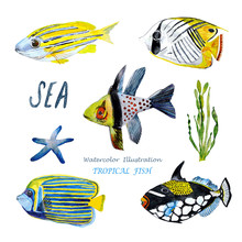 Vintage Clipart Tropical Fish Free Stock Photo - Public Domain Pictures