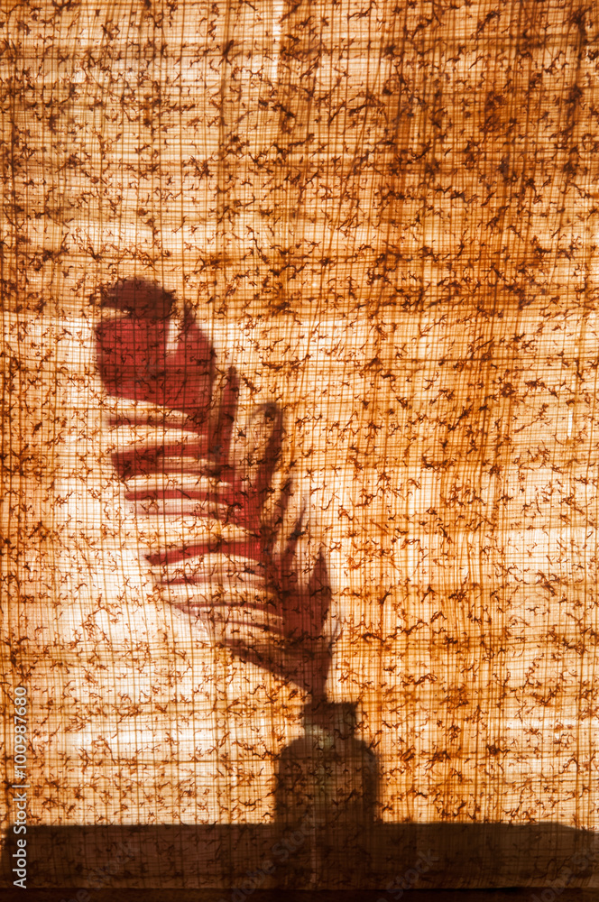 Papyrus sheet with its typical structure and texture and a quill pen ...
