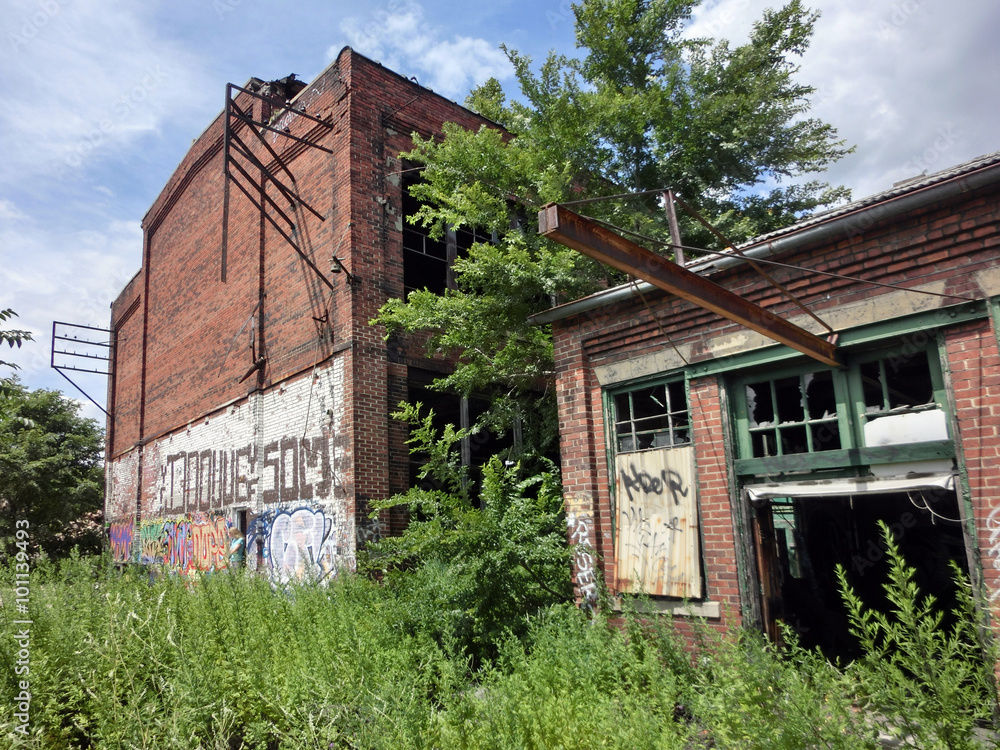 overgrown warehouse