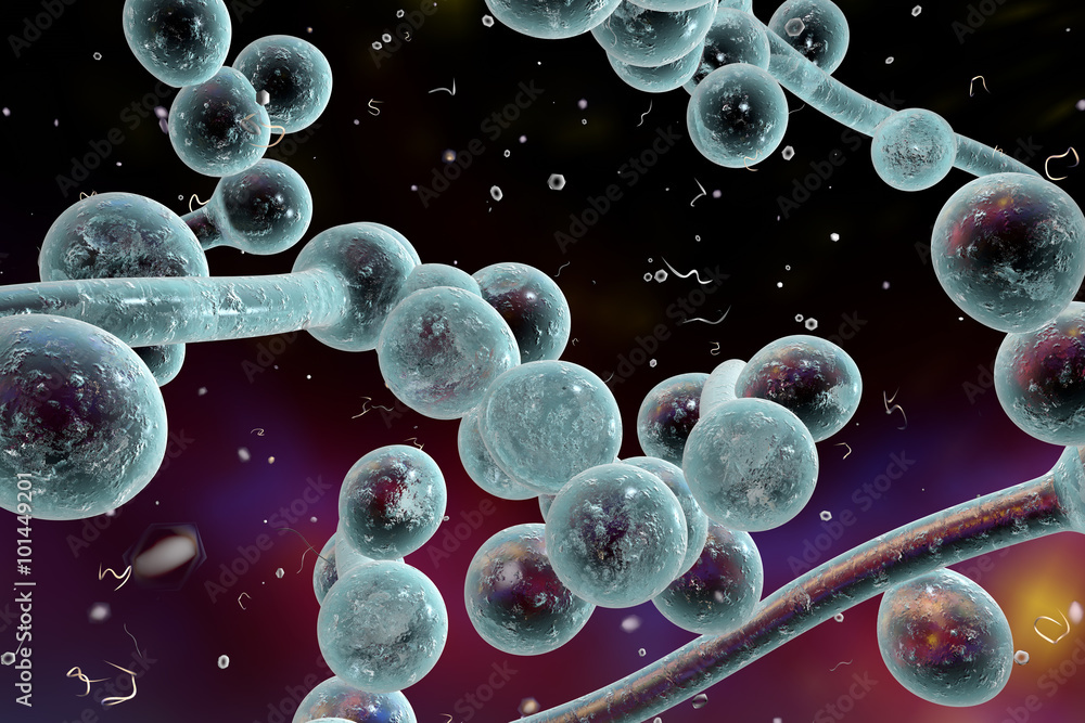 Stock-Illustration „Digital illustration of fungi Candida albicans ...