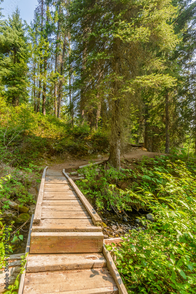 Beautiful Mountain Trail. Lightning Lake Trail at Manning Park in ...