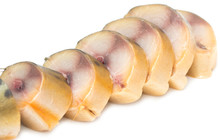 Tinker Mackerel Free Stock Photo - Public Domain Pictures