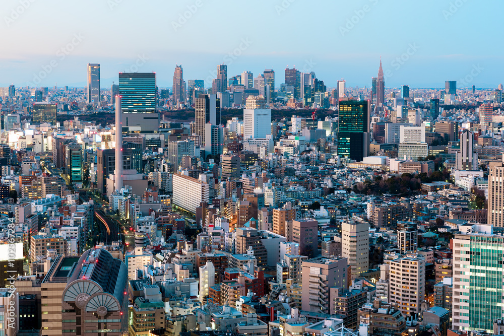 Tokyo Skyline at twilight. High rise buildings of Shinjuku Ward are ...