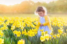 Spring Girl With Flowers Free Stock Photo - Public Domain Pictures