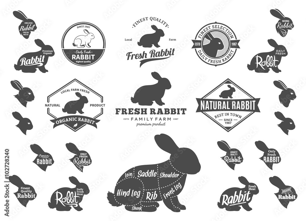 Vector Rabbit Logo, Icons, Charts and Design Elements Stock Vector ...