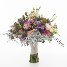 Purple Statice Flowers In Wild Free Stock Photo - Public Domain Pictures