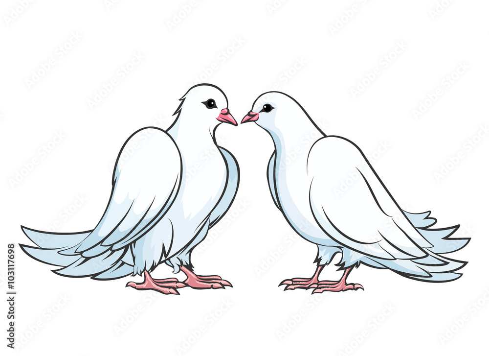 Kissing couple of doves. Dove couple, love dove bird, kiss pigeon ...