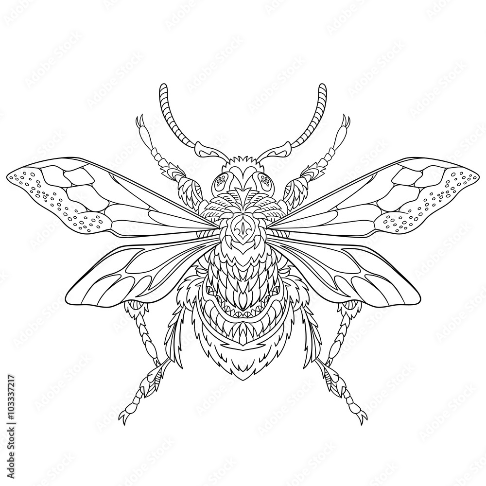 Zentangle stylized cartoon beetle insect, isolated on white background ...