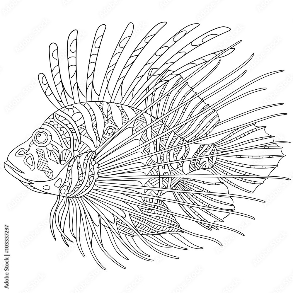 Zentangle stylized cartoon zebrafish (lionfish,pterois volitans ...