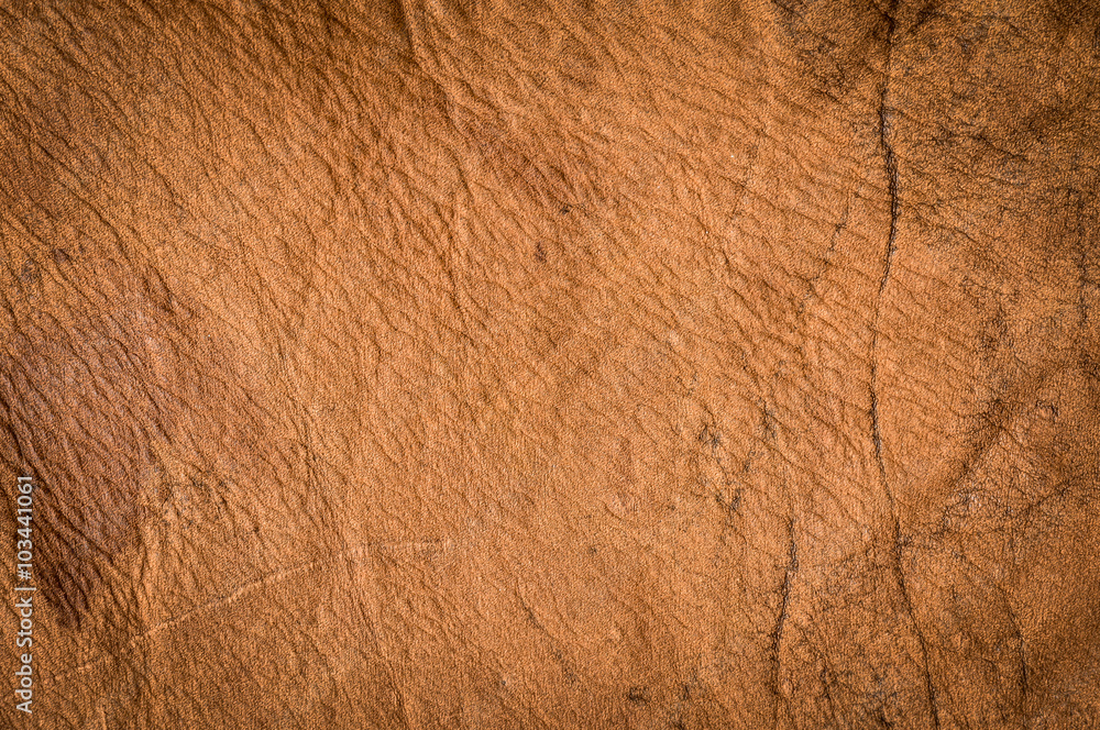Vintage leather background. Stock Photo | Adobe Stock