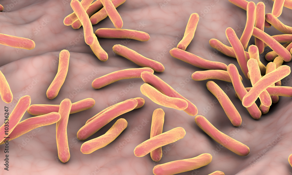 Microscopic view of bacterium Mycobacterium inside human body, model of ...