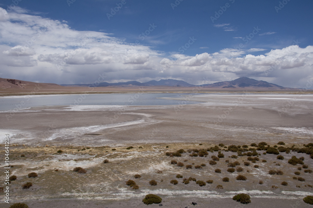Lago salado en el desierto de Atacama. Salar de Tara en la Cordillera ...