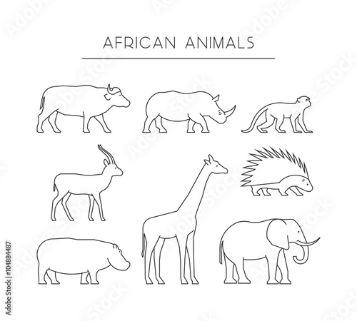 Vector line african animals. Outline icons african animals. Stock ...