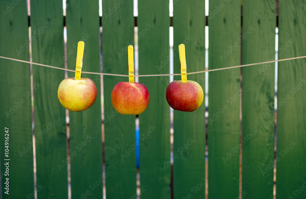 rope with clothespins and apples Stock Photo | Adobe Stock