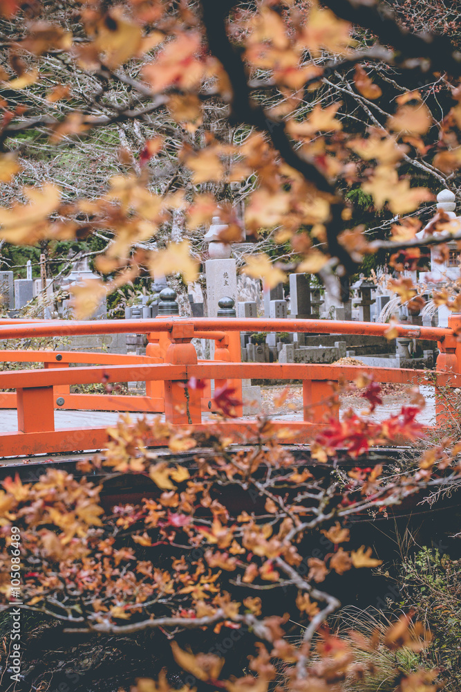 Japanese Bridge,yellow and red maple bush tree blossom in autumn with ...