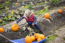 Autumn Pick-up Truck With Pumpkins Free Stock Photo - Public Domain ...