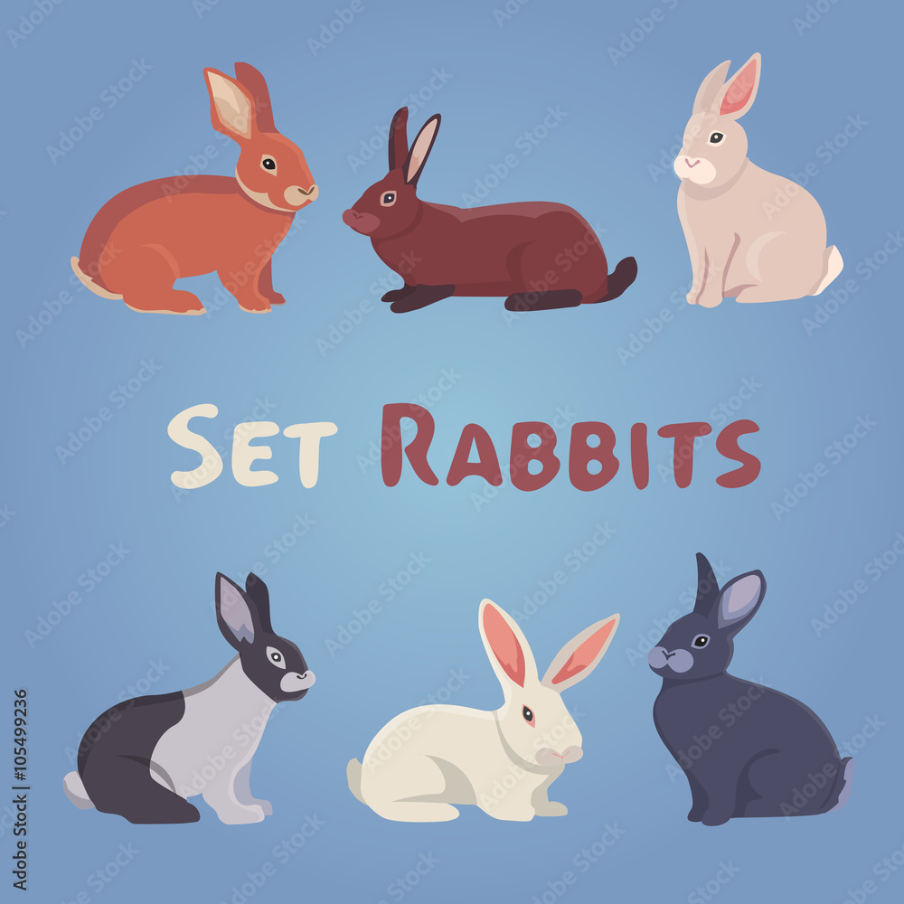 vector illustration of cartoon rabbits Stock Vector | Adobe Stock