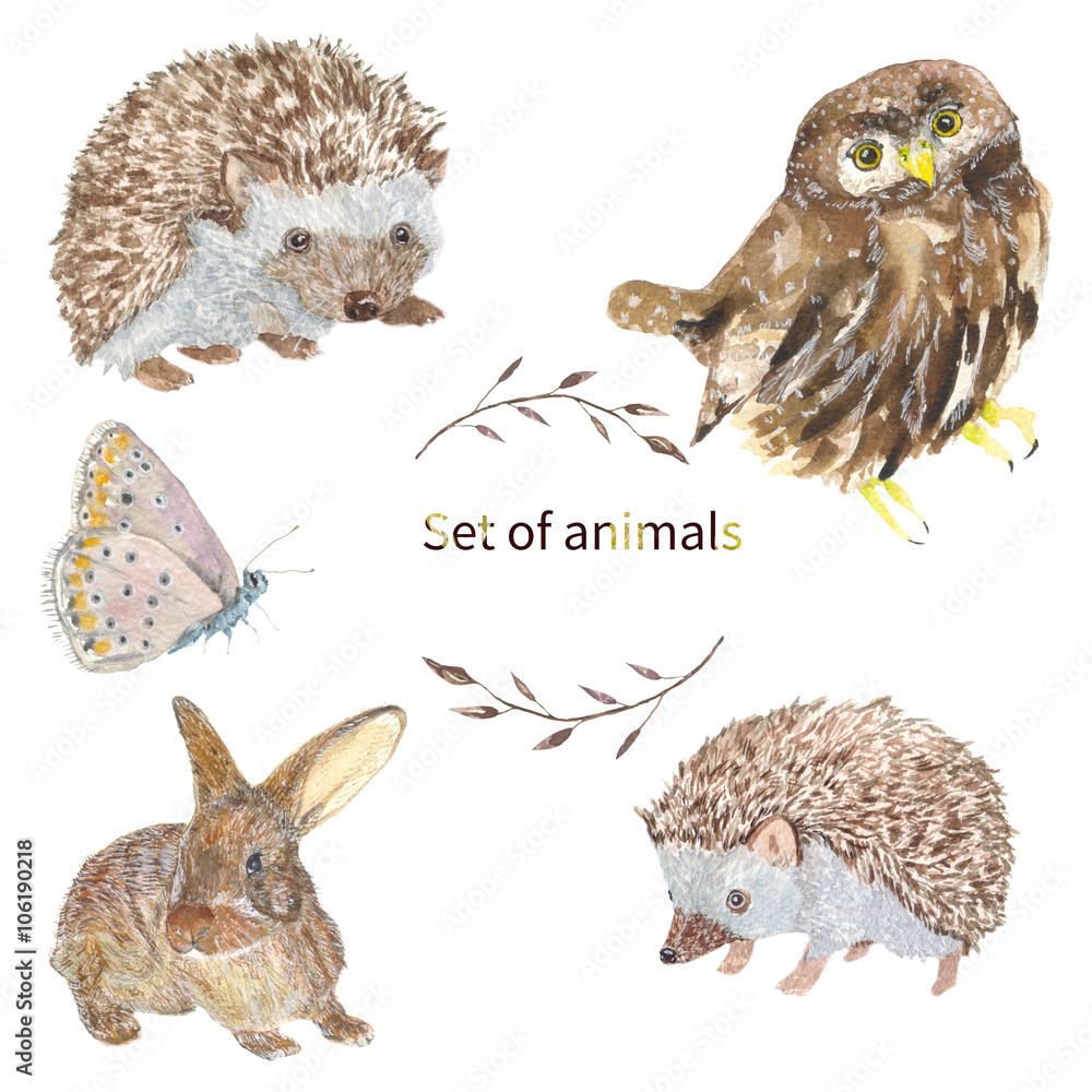Set of animals. Owl, hedgehog, butterfly, Bunny set of animals ...