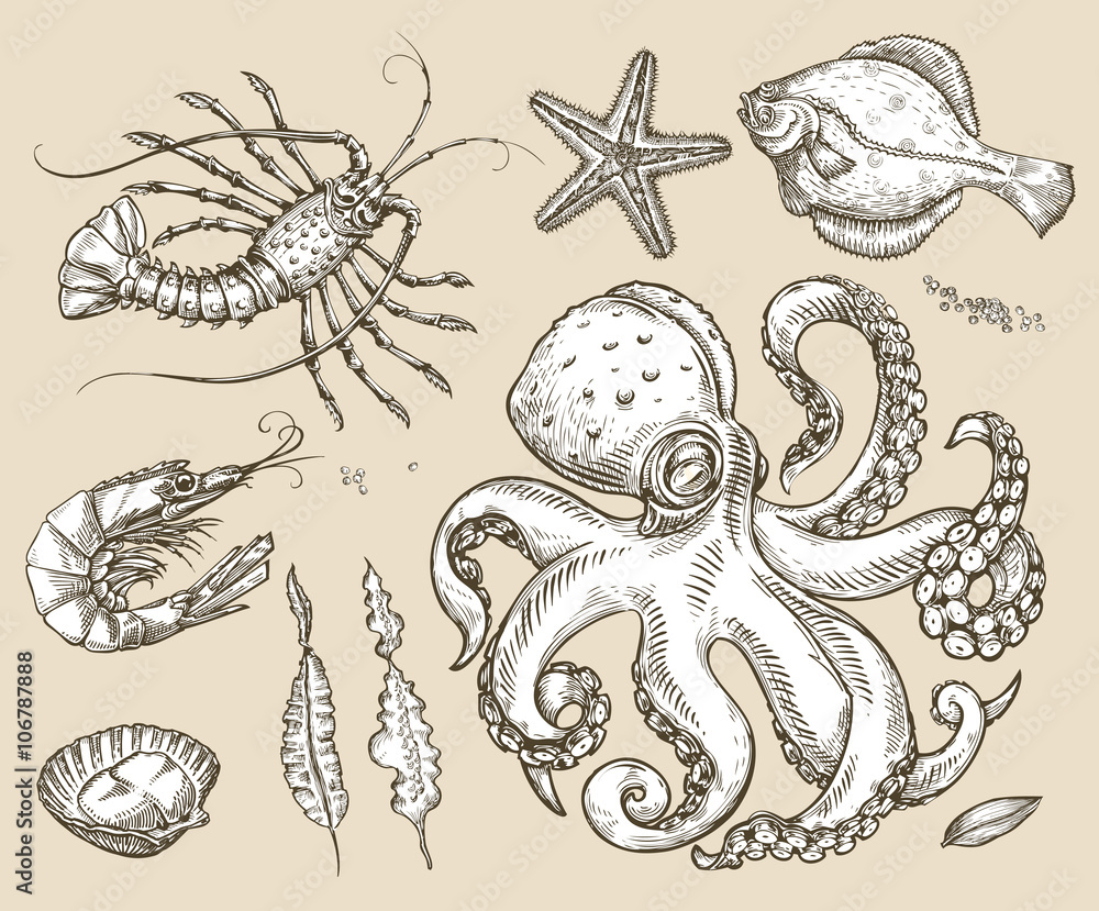 Hand drawn sketch set sea animals, seafood. Vector illustration Stock ...