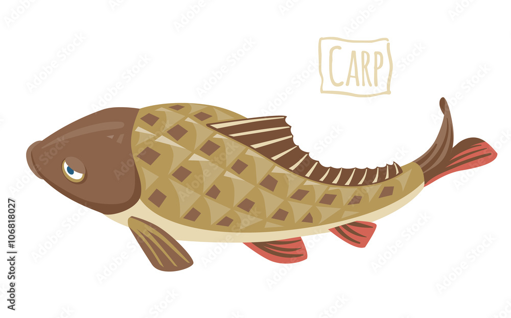 Carp, vector cartoon illustration Stock Vector | Adobe Stock