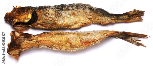 Clupea harengus Atlantischer Hering Sleď obecný Śledź oceaniczny Sild ...