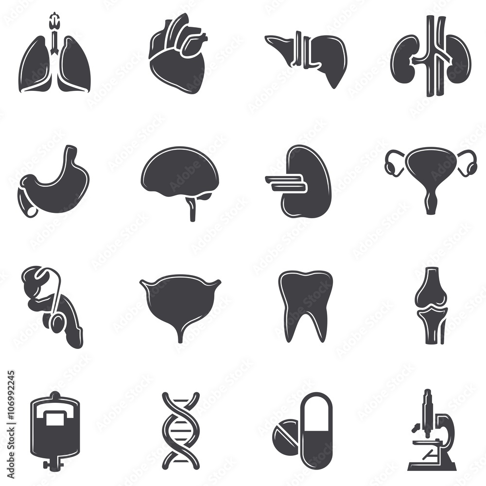 Organs icon set | Vector human organs icons on white | Medical ...