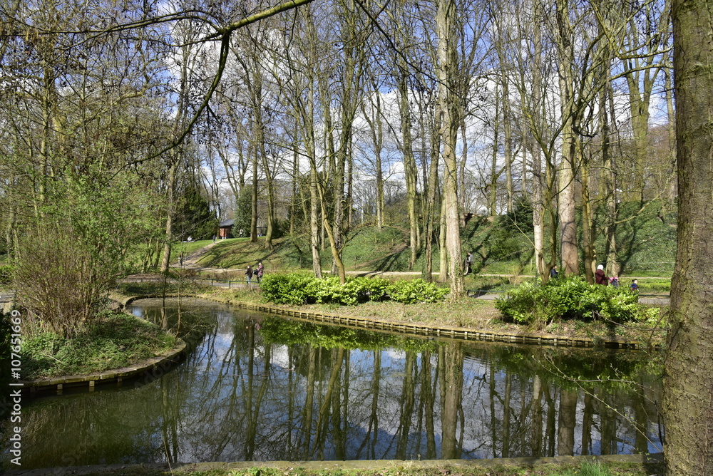La végétation luxuriante autour d'un petit étang au printemps au parc ...