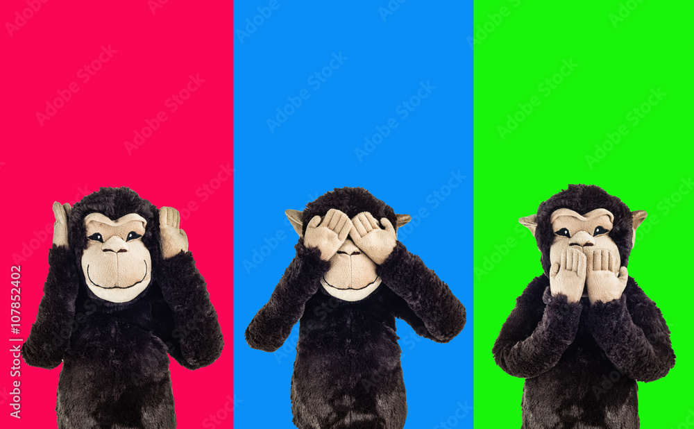 Three wise monkeys. See no evil, hear no evil, speak no evil cartoon ...
