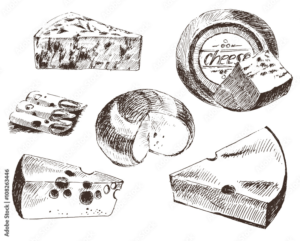 vector cheese sketch drawing designer template. farm food collection ...