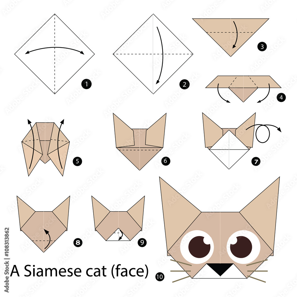Step by step instructions how to make origami A Cat. Stock Vector ...
