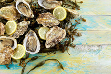 Seaweed Still Life Free Stock Photo - Public Domain Pictures