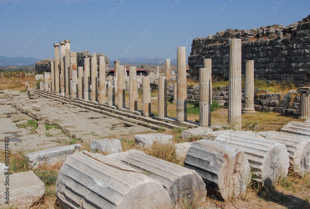 propylaea ruins in ancient Greek city of Magnesia on the Maeander Aydin ...