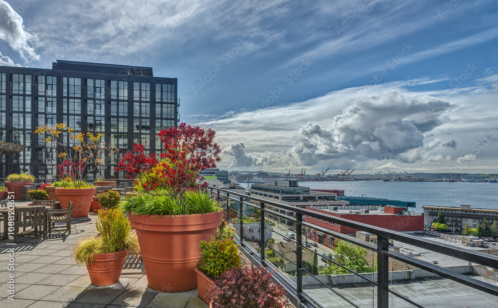 Rooftop Terrace with Flower Pots and Views of Puget Sound, Seattle ...