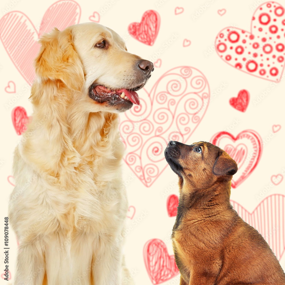 Two dogs together on color background with hearts Stock Photo | Adobe Stock