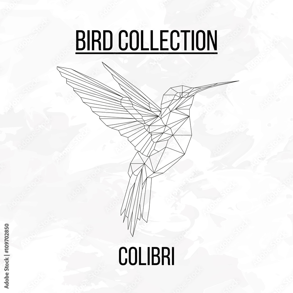 Colibri bird geometric lines silhouette isolated on white background ...